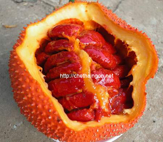 Một số bài thuốc chữa bệnh và làm đẹp từ gấc